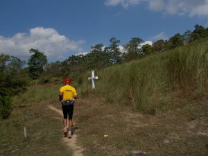 Pictures Of The Week #21 – Bald Runner